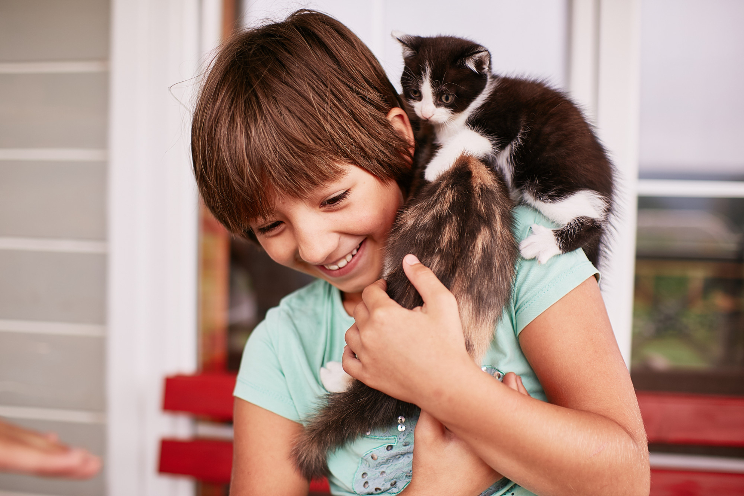 How Pets Can Support Healthy Child Development